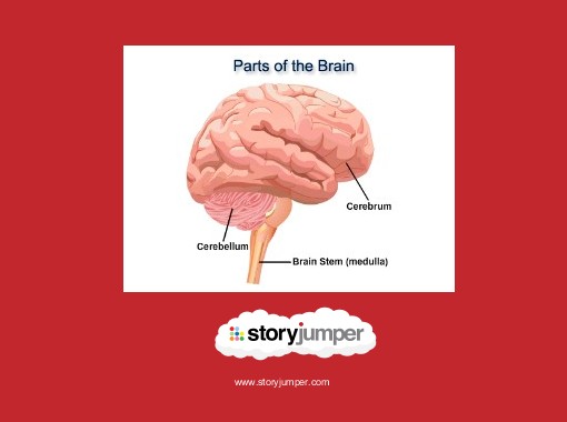 "My Amazing Brain" - Free stories online. Create books for kids ...