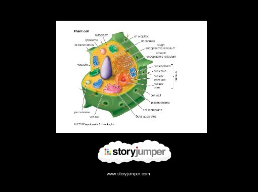 "Plant Cell" - Free stories online. Create books for kids | StoryJumper