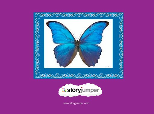 "Blue Morpho Butterfly" - Free stories online. Create books for kids ...