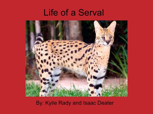 "Life of a Serval" - Free stories online. Create books for kids ...