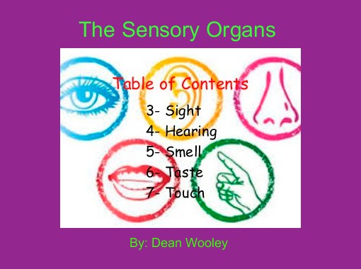 "The Sensory Organs" - Free stories online. Create books for kids ...