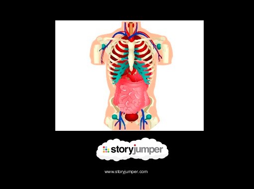 "The Human Body Systems" - Free stories online. Create books for kids ...