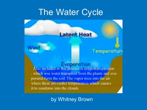 "The Water Cycle" - Free stories online. Create books for kids ...