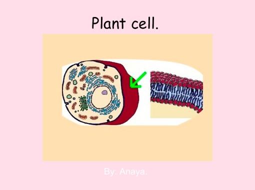 "Plant cell." - Free stories online. Create books for kids | StoryJumper