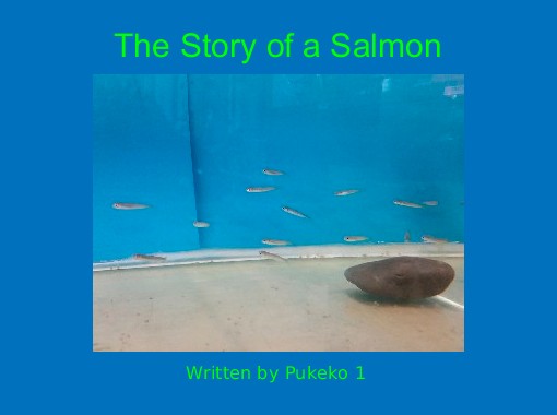 "The Story of a Salmon" - Free stories online. Create books for kids ...