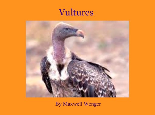 "Vultures" - Free stories online. Create books for kids | StoryJumper