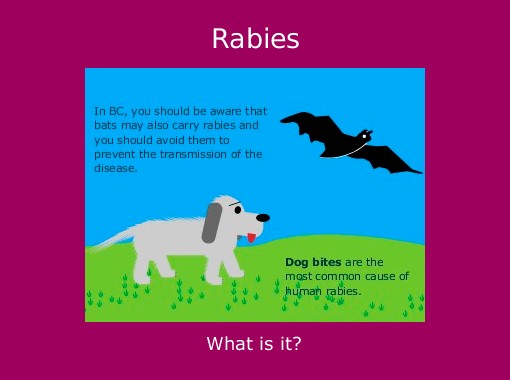 "Rabies" - Free stories online. Create books for kids | StoryJumper