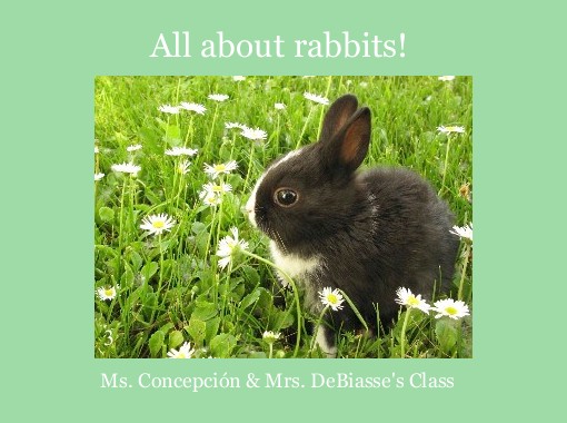 "All about rabbits!" - Free Books & Children's Stories Online | StoryJumper
