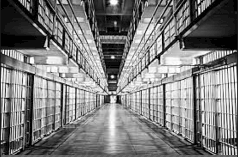 "Plant cell as a prison?" - Free stories online. Create books for kids ...