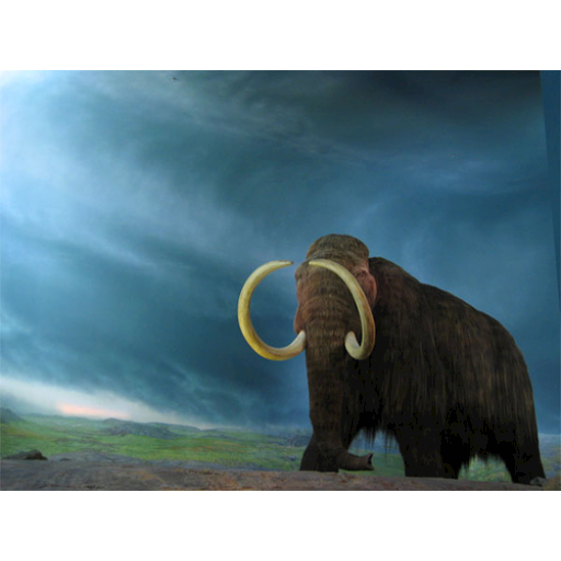 "Woolly Mammoths" - Free stories online. Create books for kids ...