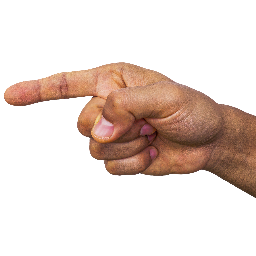 "Carlos the Cockroach" - Free stories online. Create books for kids ...