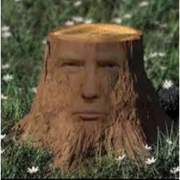 "Donald Stump" - Free Books & Children's Stories Online | StoryJumper