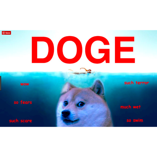 "All about the Doge" - Free stories online. Create books for kids ...